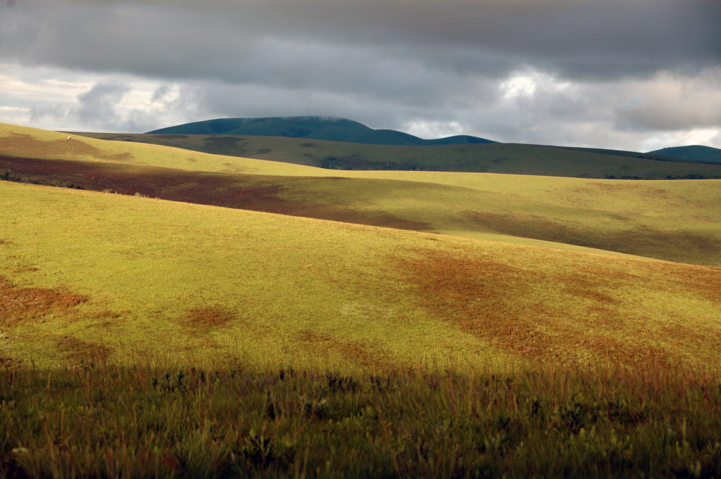Nyika National Park - The Nyika Vwaza (UK) Trust