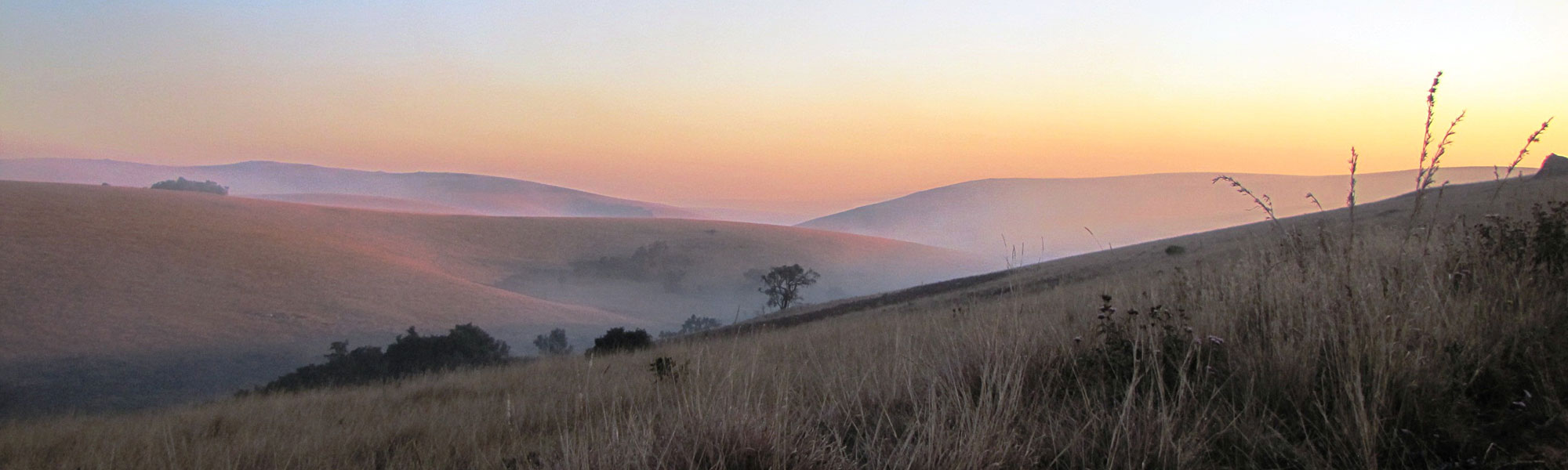 Nyika National Park - The Nyika Vwaza (UK) Trust