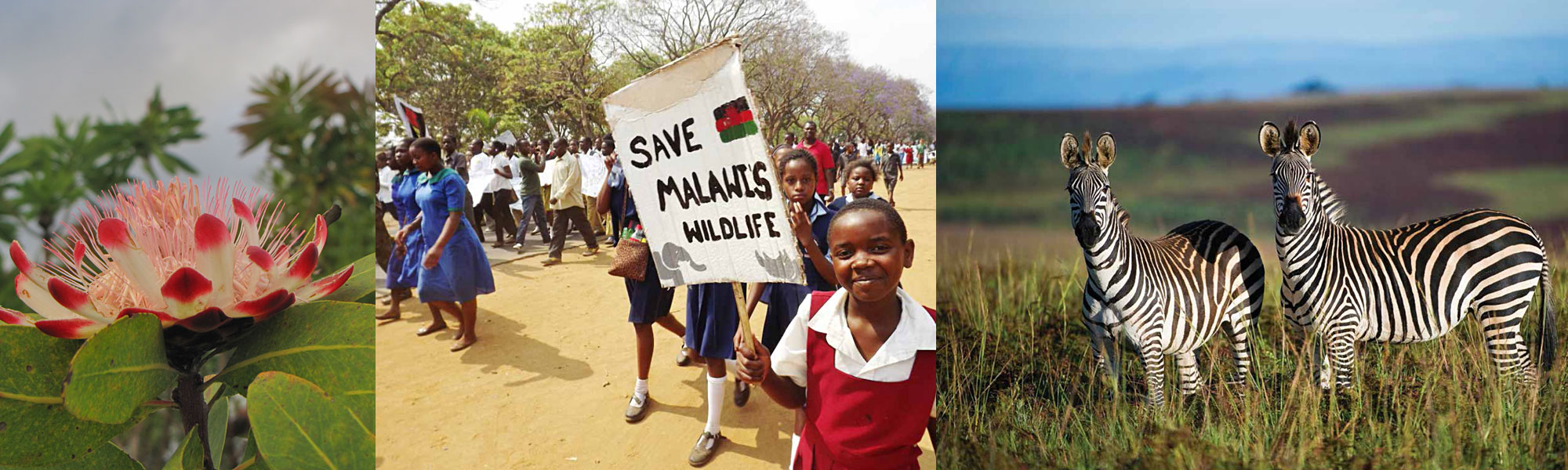 Environmental Education in Malawi - The Nyika Vwaza (UK) Trust